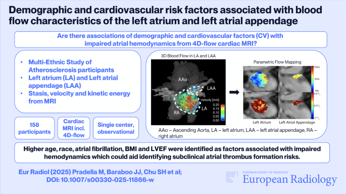 Demographic and cardiovascular risk factors associated with blood flow ...
