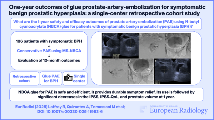 One-year outcomes of glue prostate-artery-embolization for symptomatic ...