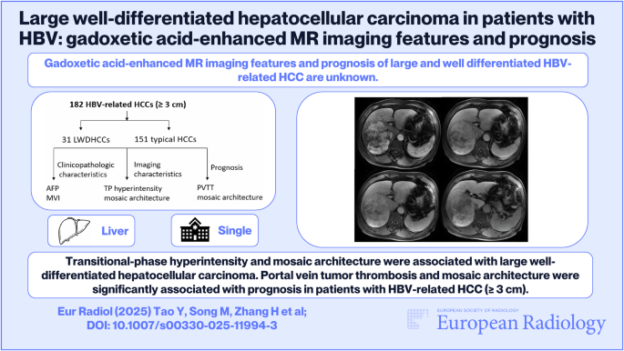 Large well-differentiated hepatocellular carcinoma in patients with HBV ...
