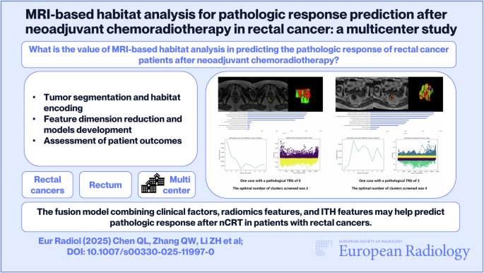 MRI-based habitat analysis for pathologic response prediction after neoadjuvant ...