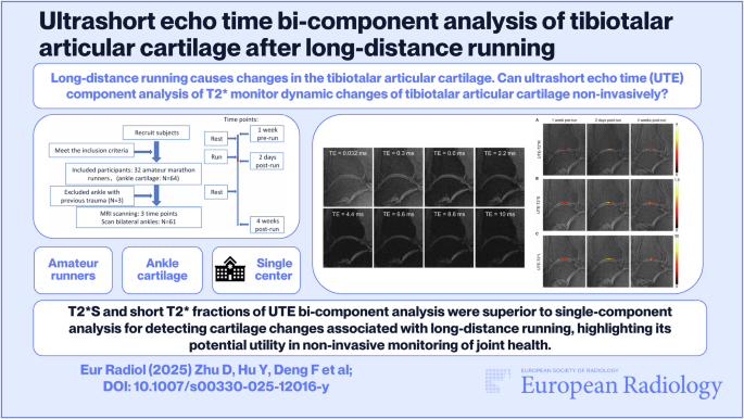 Ultrashort echo time bi-component analysis of tibiotalar articular ...