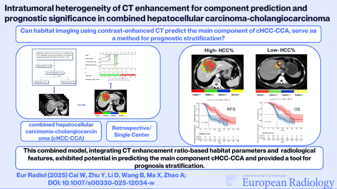 Intratumoral heterogeneity of CT enhancement for component prediction and prognostic ...