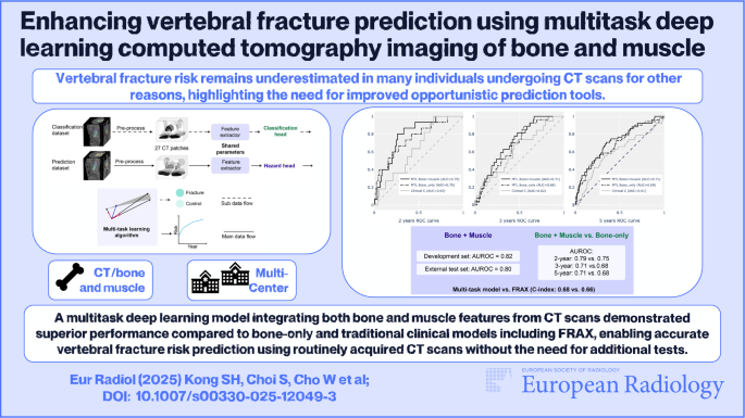 Enhancing vertebral fracture prediction using multitask deep learning ...