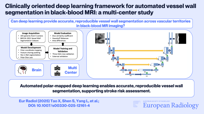 Clinically oriented deep learning framework for automated vessel wall segmentation in black ...
