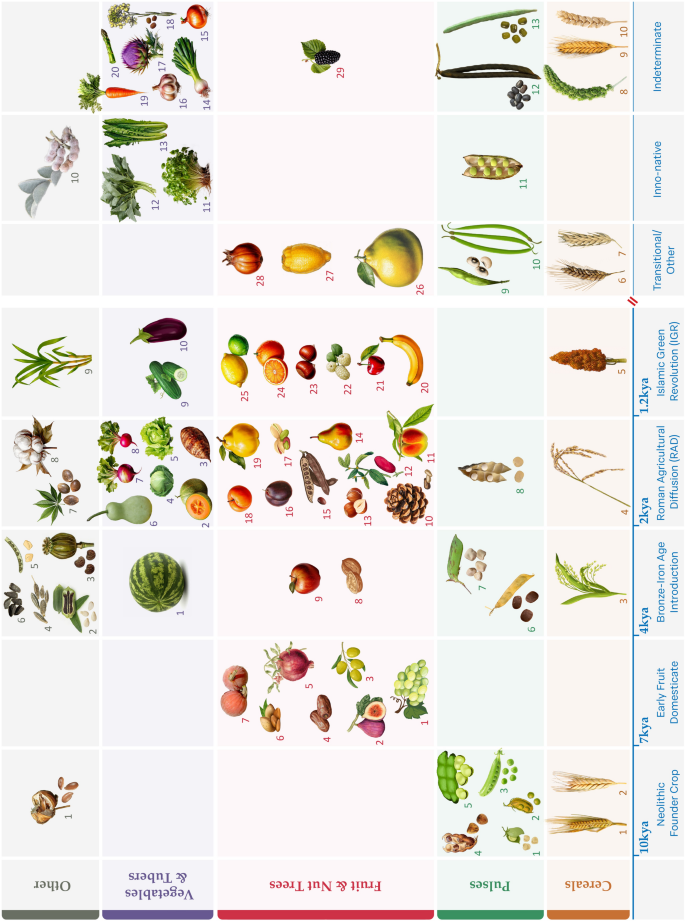 A tale of two agricultural revolutions: crop introductions in the long ...