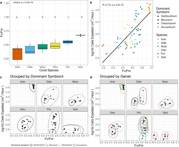 Diel patterns of symbiont expulsion in Caribbean reef corals are coral ...