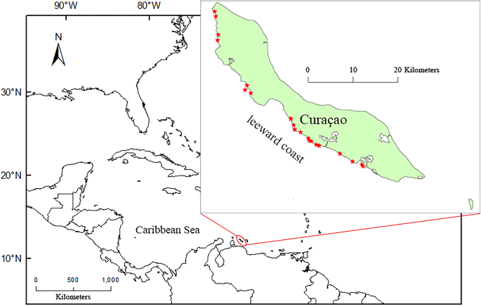 Depth influences coral-dwelling faunal symbiont communities in the ...