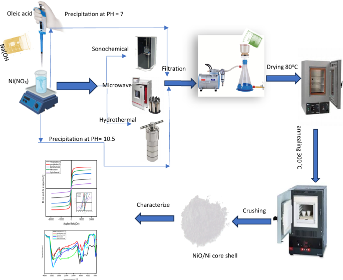 Comparative investigation on the physical properties of NiO/Ni ...