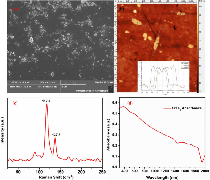 Tm-doped mode-locking fiber lasers with 2D chromium telluride (CrTe2 ...
