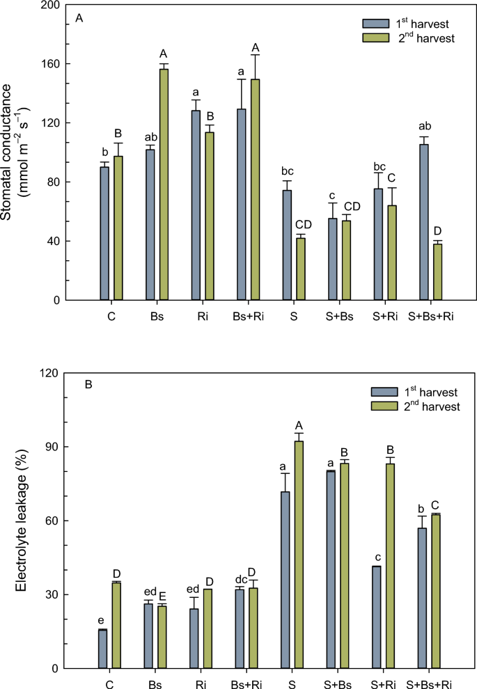 Dual PGPR-AMF Inoculation Offsets Salinity Stress Impact on the Fodder ...