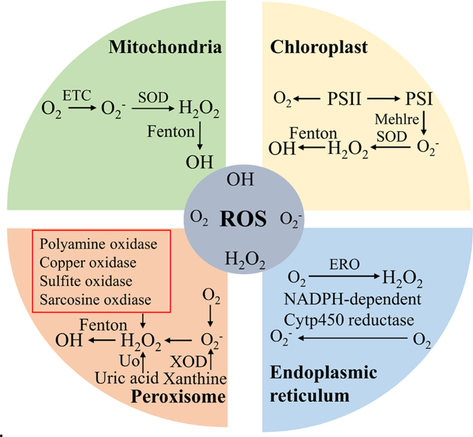 Adversity Response: Multiple Defense Mechanisms Mediated by Plant ...