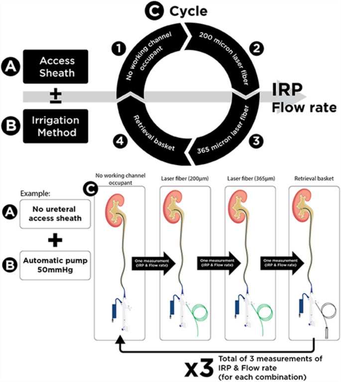 Intrarenal pressure and flow rate profile using LithoVue™ elite: impact ...