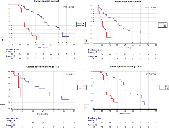 The percentage abundance of sarcomatoid component has a prognostic role ...