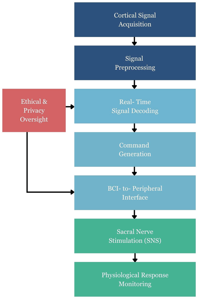 Integration of brain-computer interfaces with sacral nerve stimulation: a vision for closed-loop ...