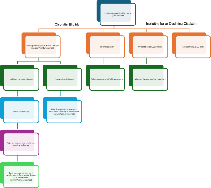 Management of clinical stage T3/T4 bladder cancer: a review | World ...