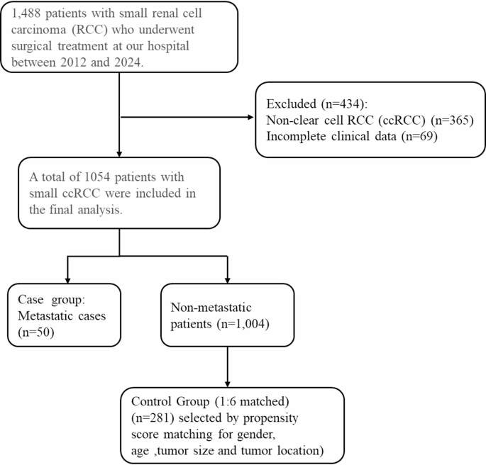 Risk factors and metastasis prediction in small (≤ 4 cm) clear cell ...