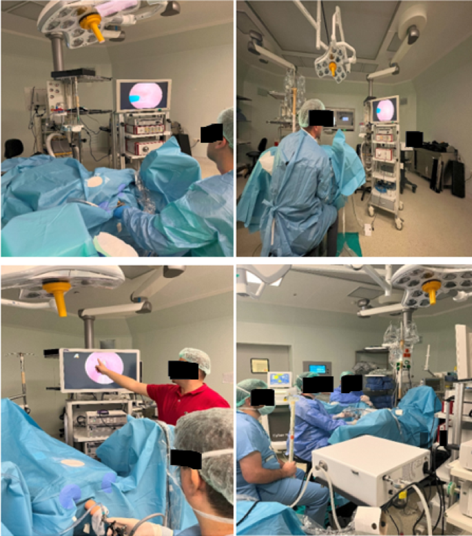 Simulation based training versus mentorship in the initial learning ...