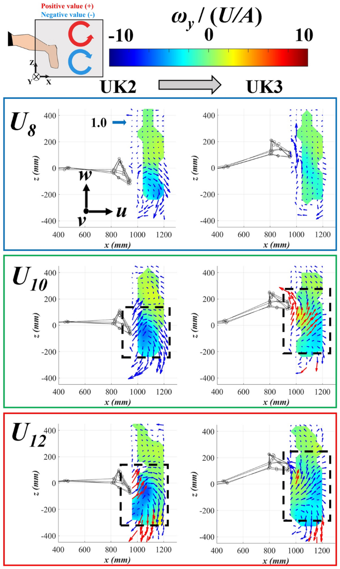 Variations in vortex structure with changes in swimming velocity during human underwater ...