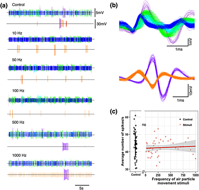 Electrophysiological and behavioral responses of elongated solifuge ...