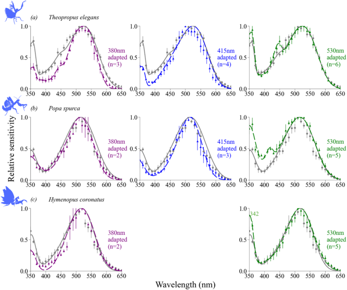 Praying mantises possess multiple spectral photoreceptor classes ...