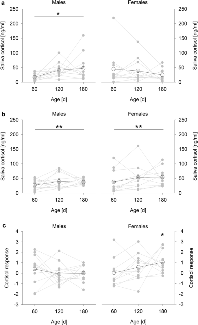 Metabolic rate and saliva cortisol concentrations in socially housed ...