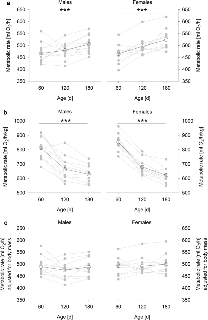 Metabolic rate and saliva cortisol concentrations in socially housed ...