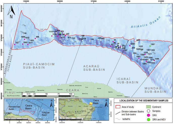 Sedimentological and geochemical characterization of the continental ...