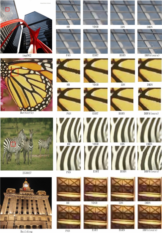 The image super-resolution network based on dual-branch feature ...