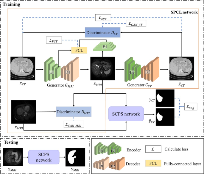 A novel semi-supervised domain adaptive method for cross-modality medical image segmentation ...