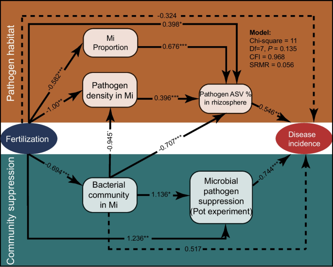 Bio-organic fertilizer amendment helps suppress tomato bacterial wilt ...