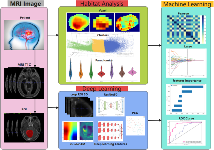 Fusion of habitat analysis and deep learning on contrast-enhanced T1 ...