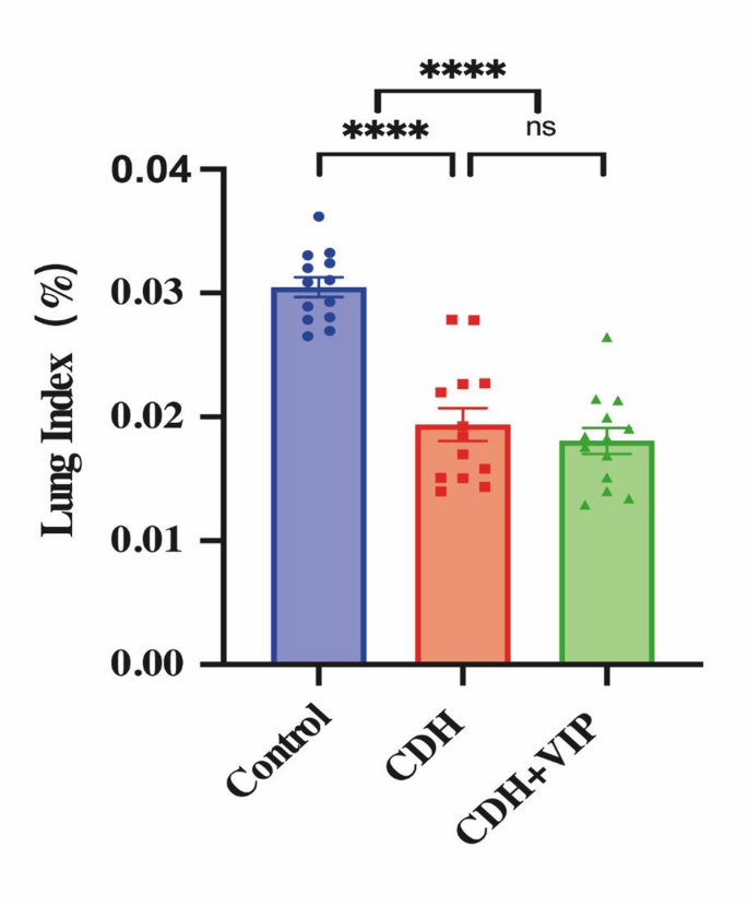 Investigation of vasoactive intestinal peptide expression and ...