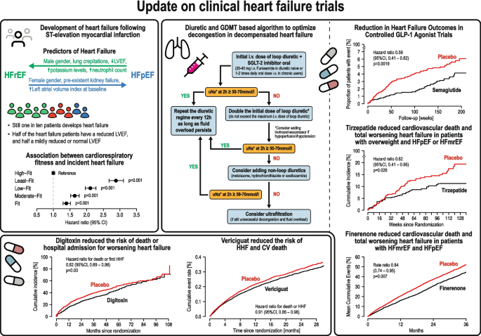 Update on clinical heart failure trials | Clinical Research in Cardiology