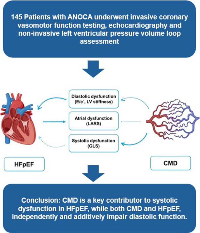 Microvascular dysfunction and heart failure with preserved ejection ...