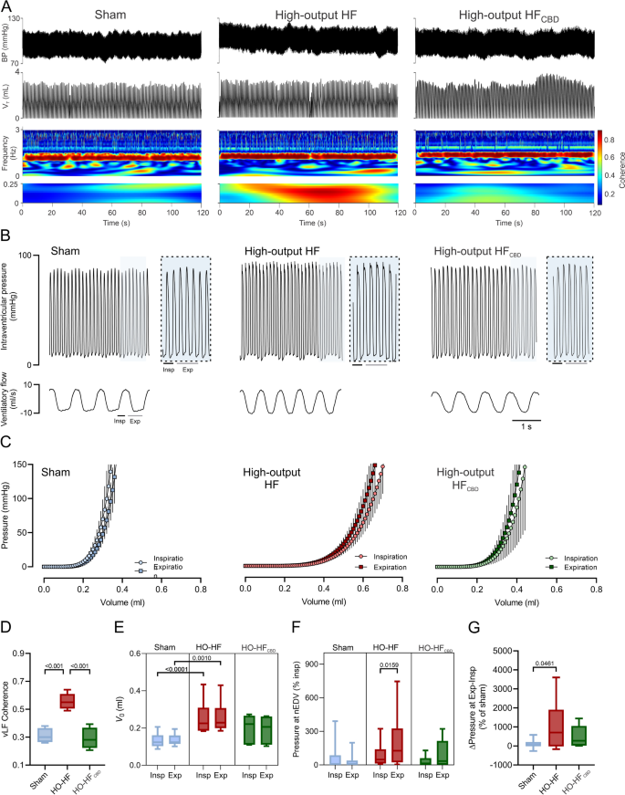 Peripheral chemoreceptors sustain central chemoreflex potentiation and ...