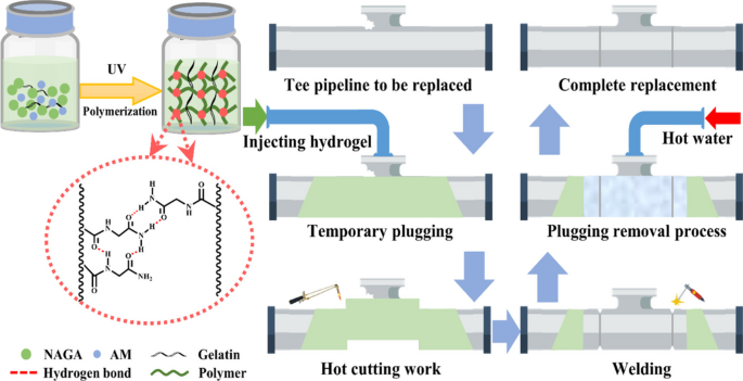 Gelatin-reinforced hydrogel crosslinked by hydrogen bonds as a thermo ...