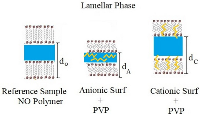 Investigation of the polymer additive on the lyotropic lamellar phase ...