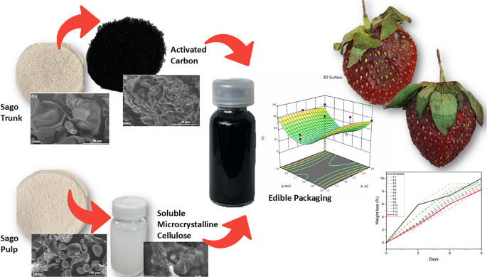 Biobased edible packaging from sago by-products: sago pulp as ...