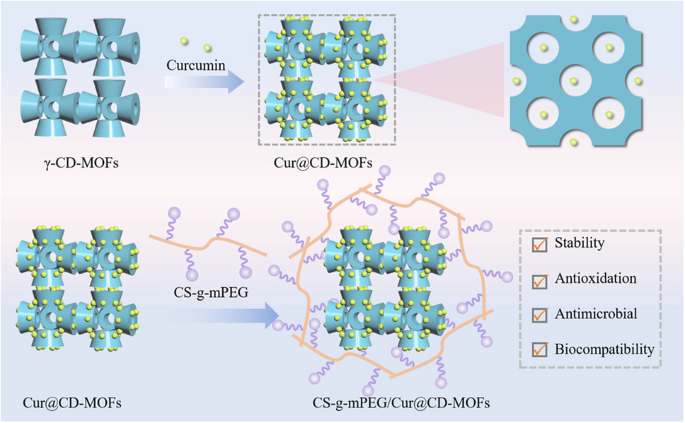 Edible functionalized γ-cyclodextrin-MOFs for enhanced sustained drug ...