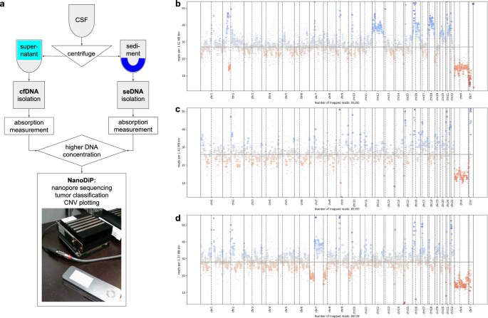 Rapid brain lymphoma diagnostics through nanopore sequencing of ...