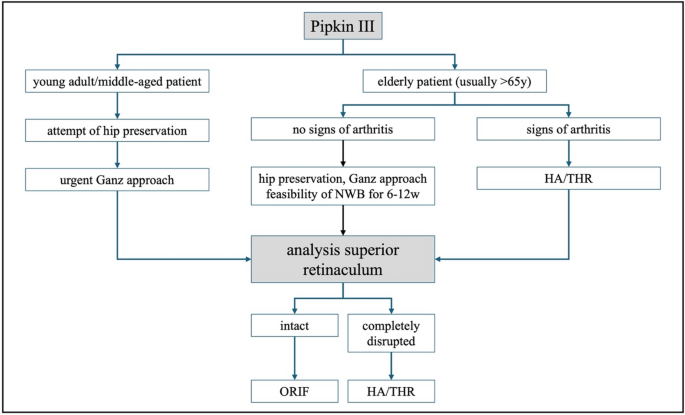 Pipkin fractures: fracture type-specific management | Archives of ...