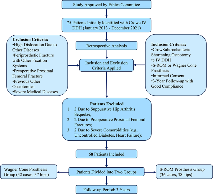 Three-years comparative outcomes of S-ROM versus Wagner cone prostheses ...