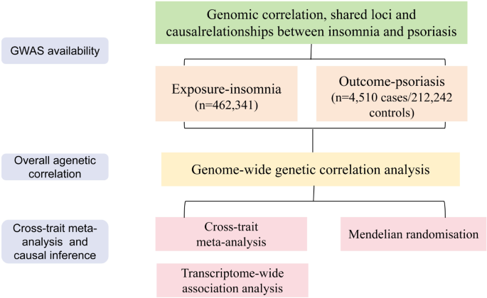 Genomic correlation, shared loci, and causal relationship between ...