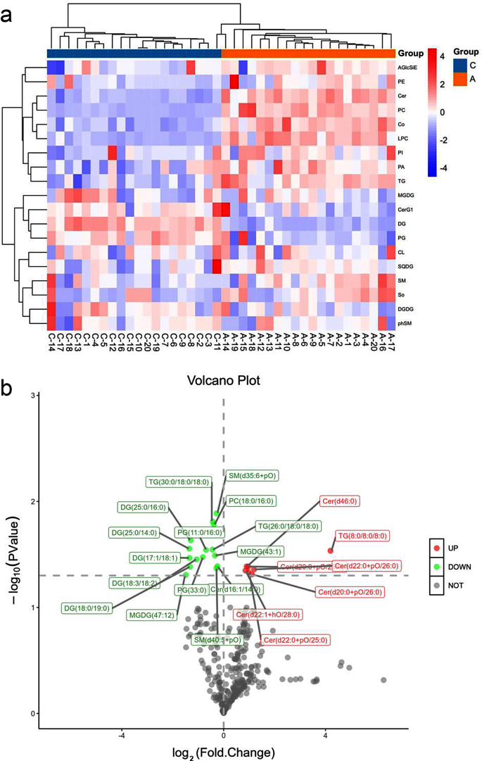 Quantitative lipidomics profiling of skin surface lipids and skin ...