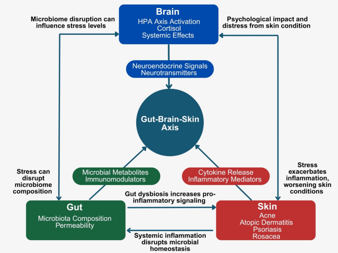 Microbiota, mind, and skin: bridging the Gut-Brain-Skin axis in ...