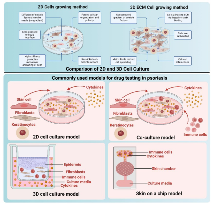The synergistic role of 3D printing in psoriasis: from personalized ...