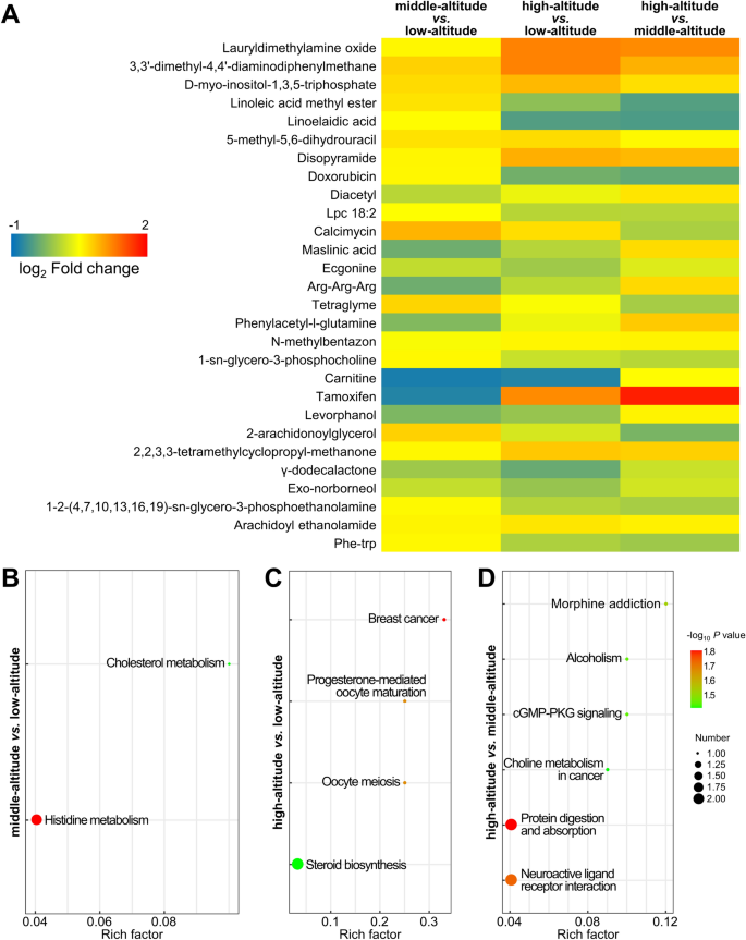 High-altitude hypoxia exposure alters follicular metabolome and oocyte ...