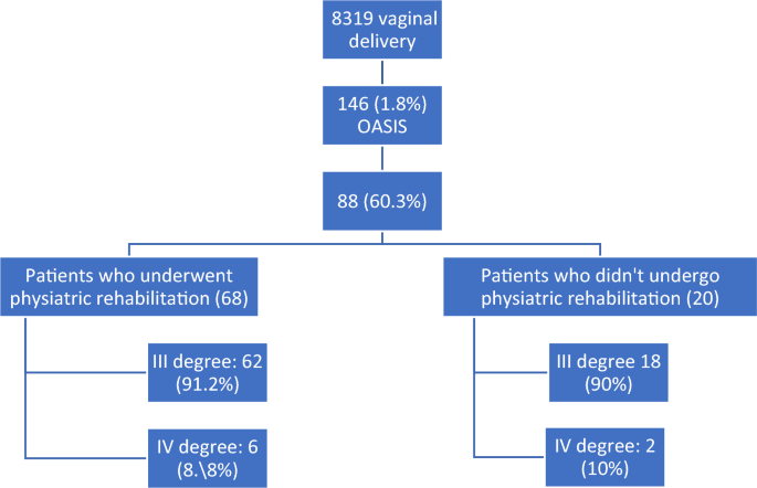 The outcome of early perineal rehabilitation in obstetric anal ...