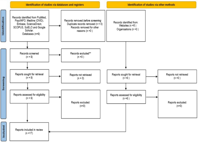 Perinatal bereavement rooms: a narrative review of physical space in ...