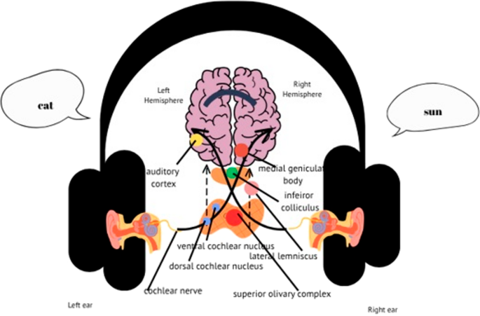 Evaluation of central auditory processing skills in children with ...